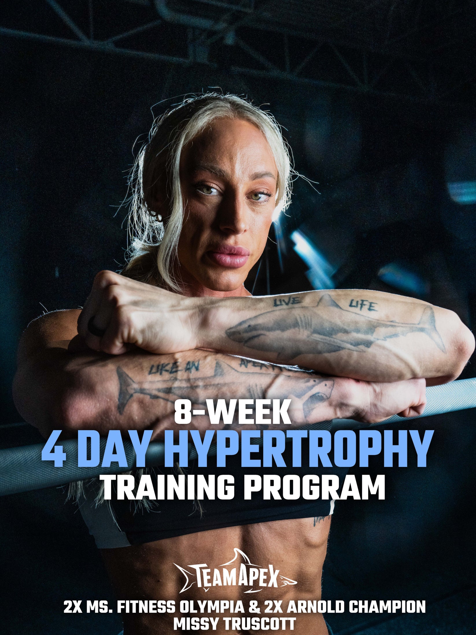 4 Day Hypertrophy Training Program Template – Missy Truscott