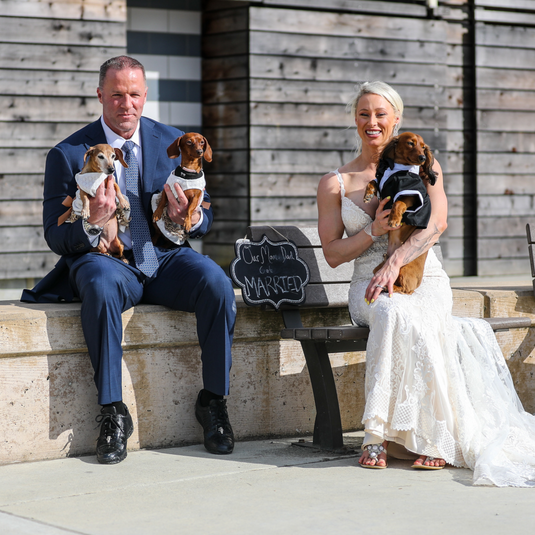 About Me – Missy Truscott